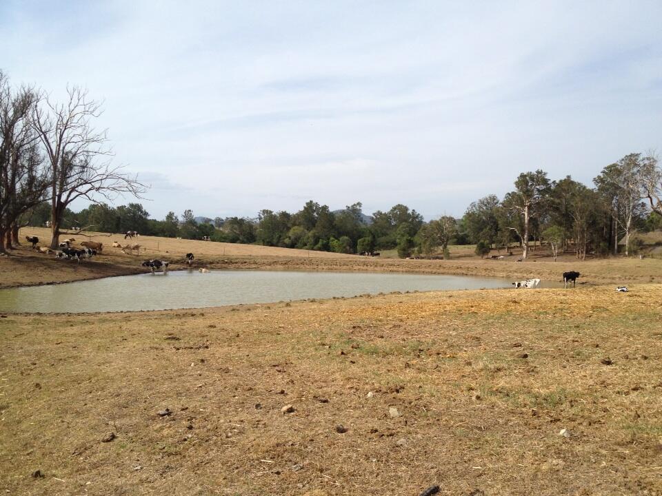 Jeremy Story Carter - ABC News