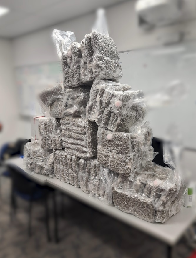 Interstate drug syndicate bust sees cannabis, guns and millions in cash ...