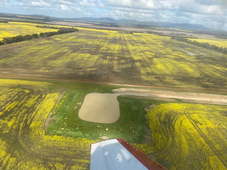Albany farmers still seeding crops after six months of wet weather ...