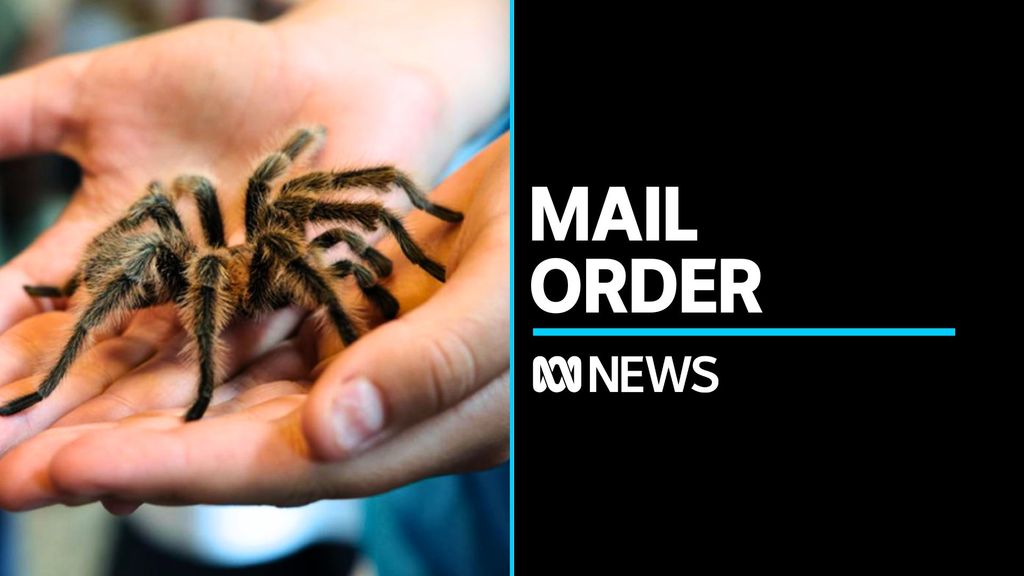 Queensland's biggest prison recycling program is underway in the state ...