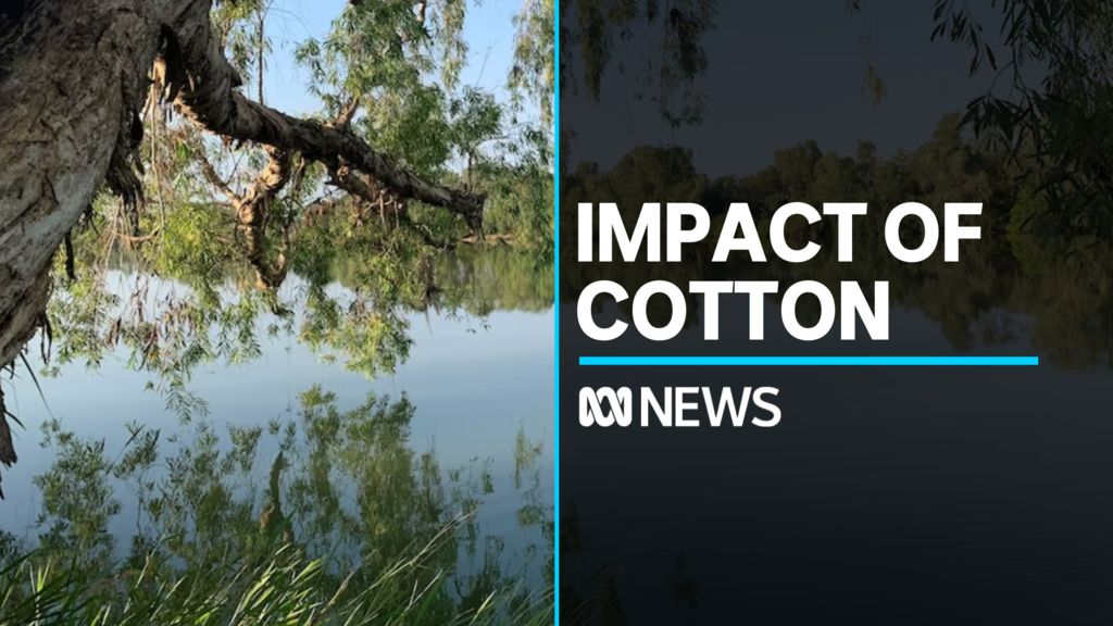 Inquiry confirms findings cotton industry could damage NT environment ...