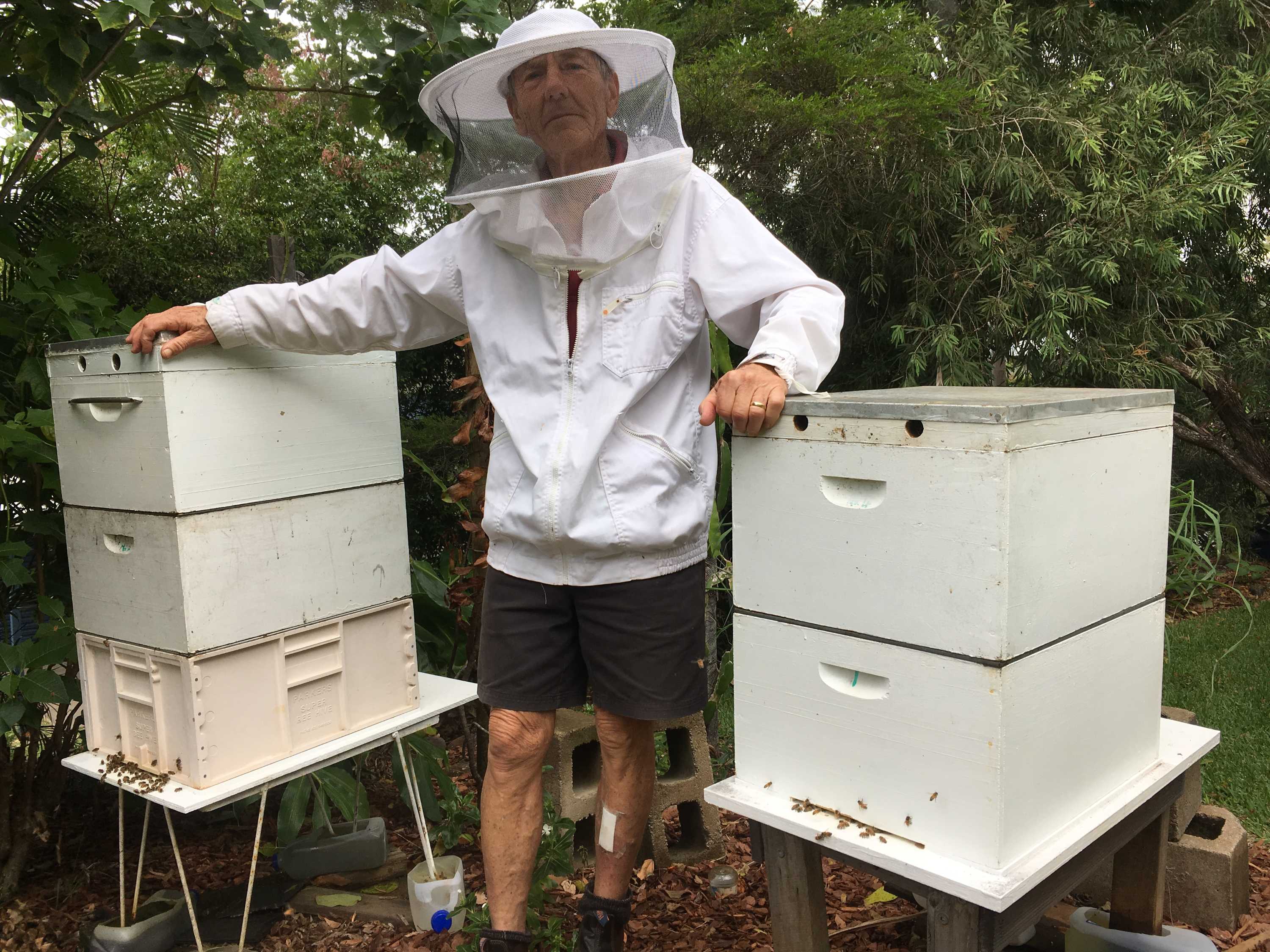 Hobby to multi-million dollar industry: backyard beehives leading to ...