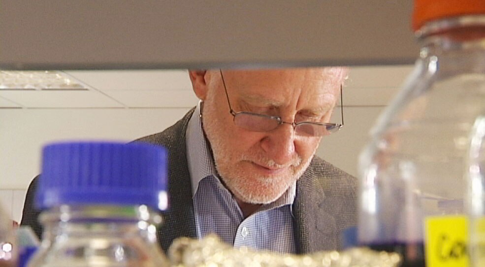 Scientists make promising breakthrough against bacteria that attacks ...