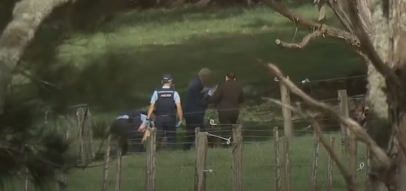 Man and woman in their 80s believed to have been killed by ram in NZ ...