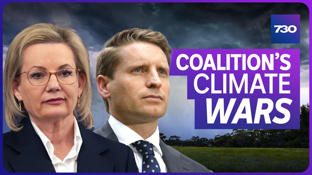 Lorde on now feeling brave and peaceful - ABC News