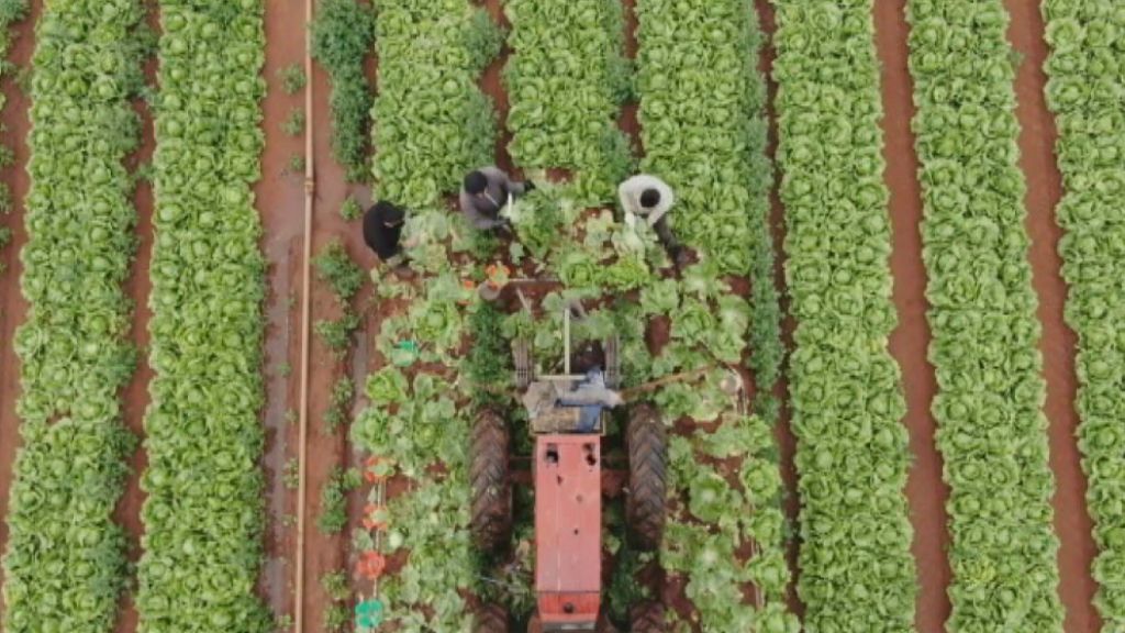 Adelaide puts food, not developments at the top of the city-fringe menu ...