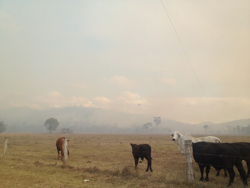 Crews keep watch on Mount Chalmers bushland near Rockhampton after ...