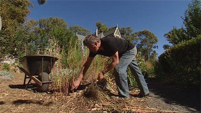 Tip and Trick: Using Compost - Gardening Australia
