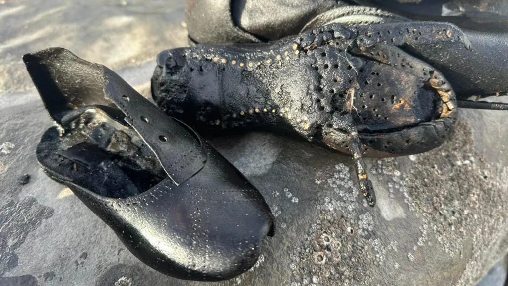 150-year old washed up shoes - ABC listen