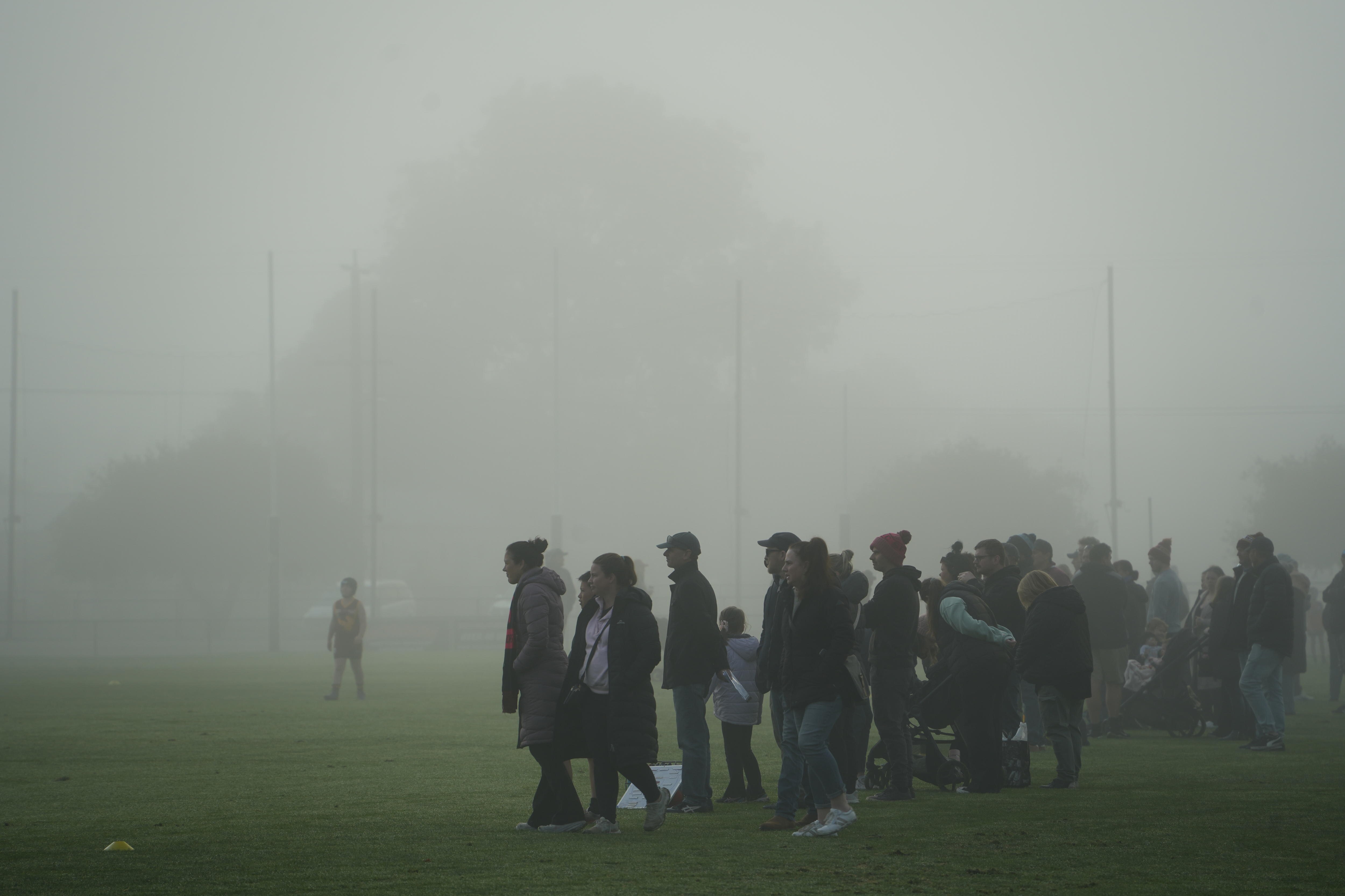 What should you do if you encounter a snake in your home or yard? - ABC ...