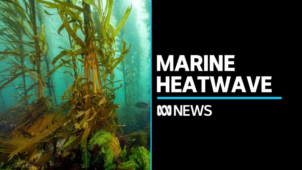 Weather - Topic - ABC News