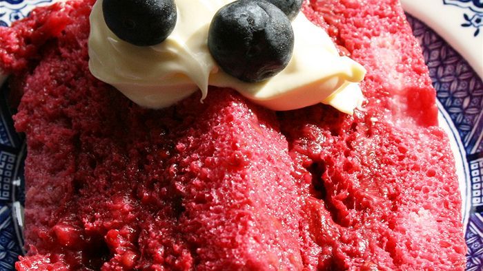 Berry terrine - ABC Everyday