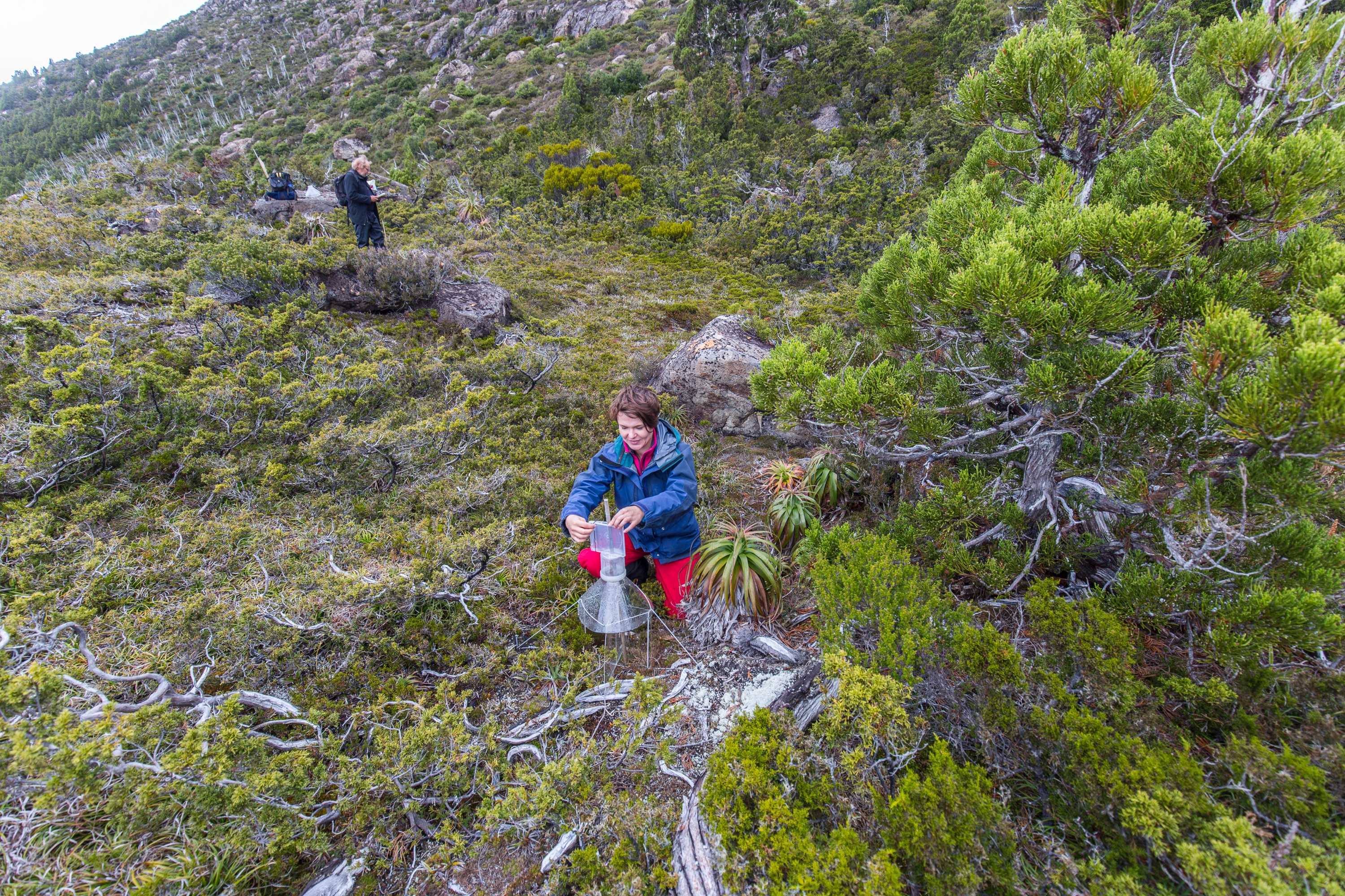 When Jamie fell in love with the mountains - ABC Radio National