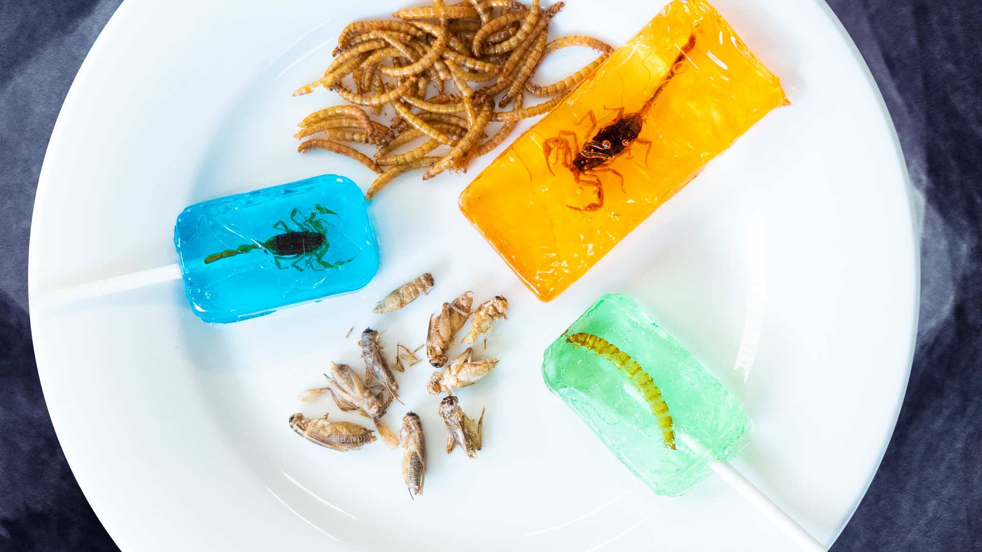 Eating Insects - Behind The News