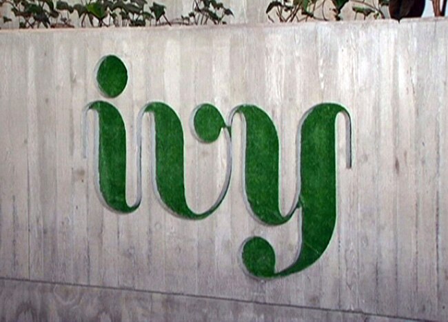 Ivy bouncer assault trial gets underway - ABC News