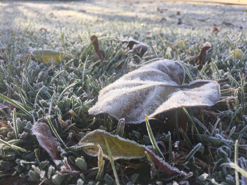 Victoria shivers through cold morning with sub-zero temperatures across ...