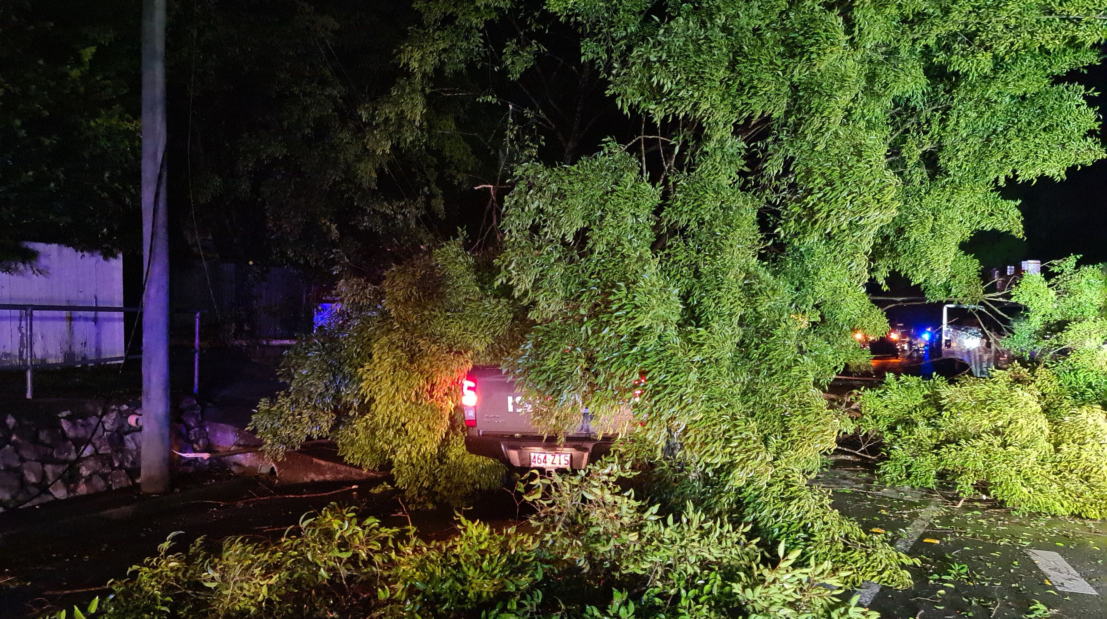 Family rescued from car stuck under fallen tree after storms hit south ...