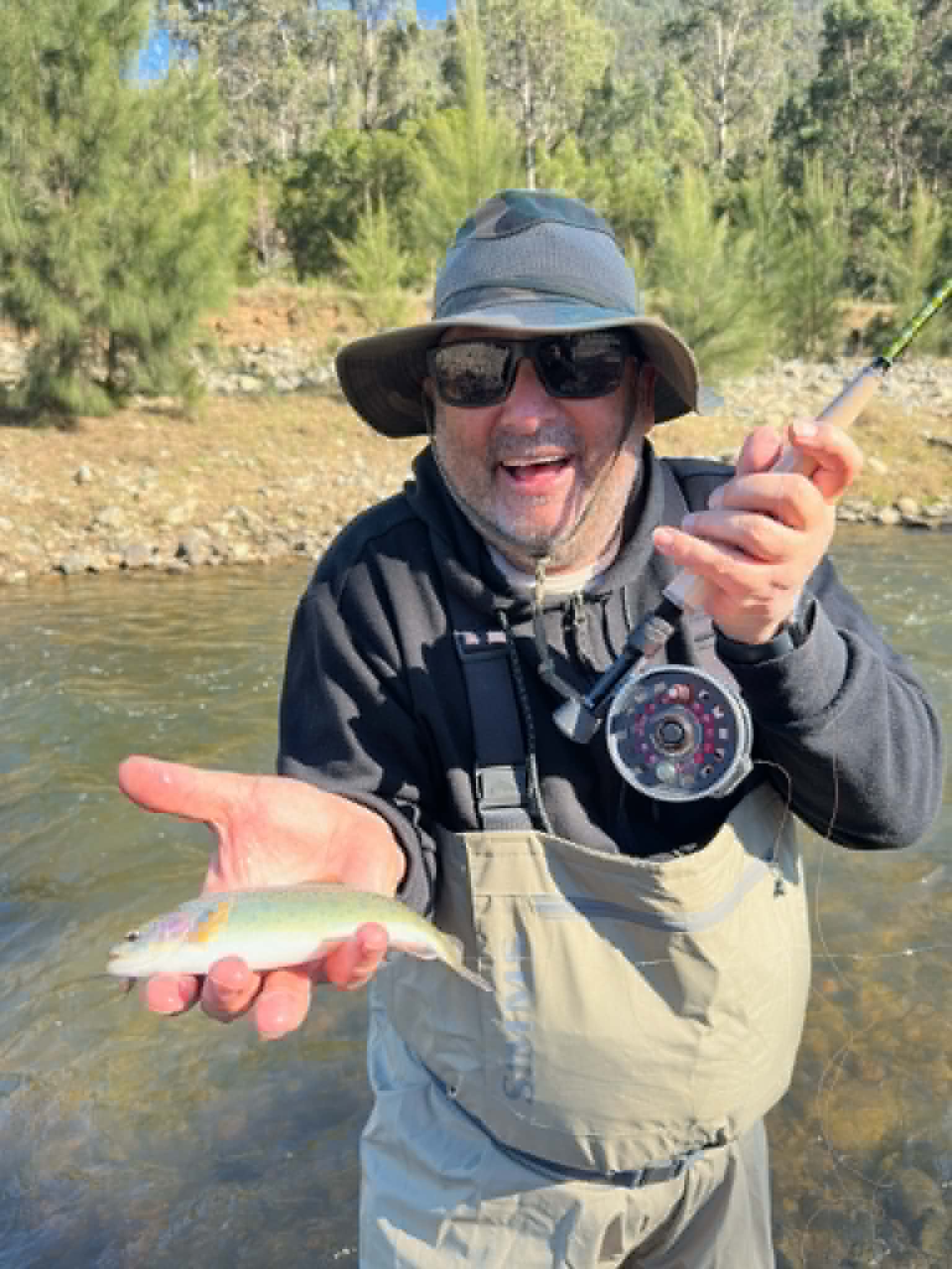 The Big Fish - ABC listen
