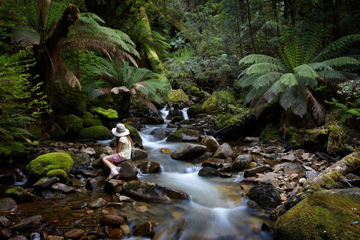 Old and new residents unite to put Maydena on the map - ABC listen