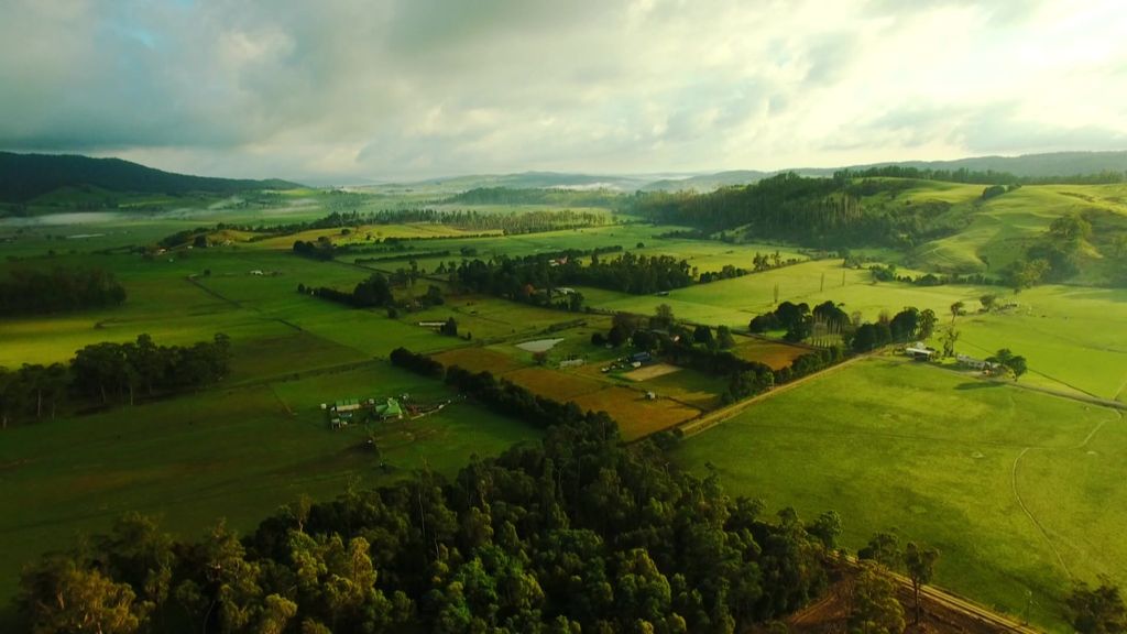 ABC Rural - ABC News