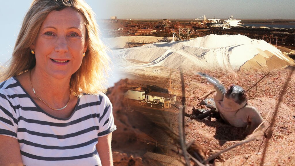 Kent Gordon - ABC News