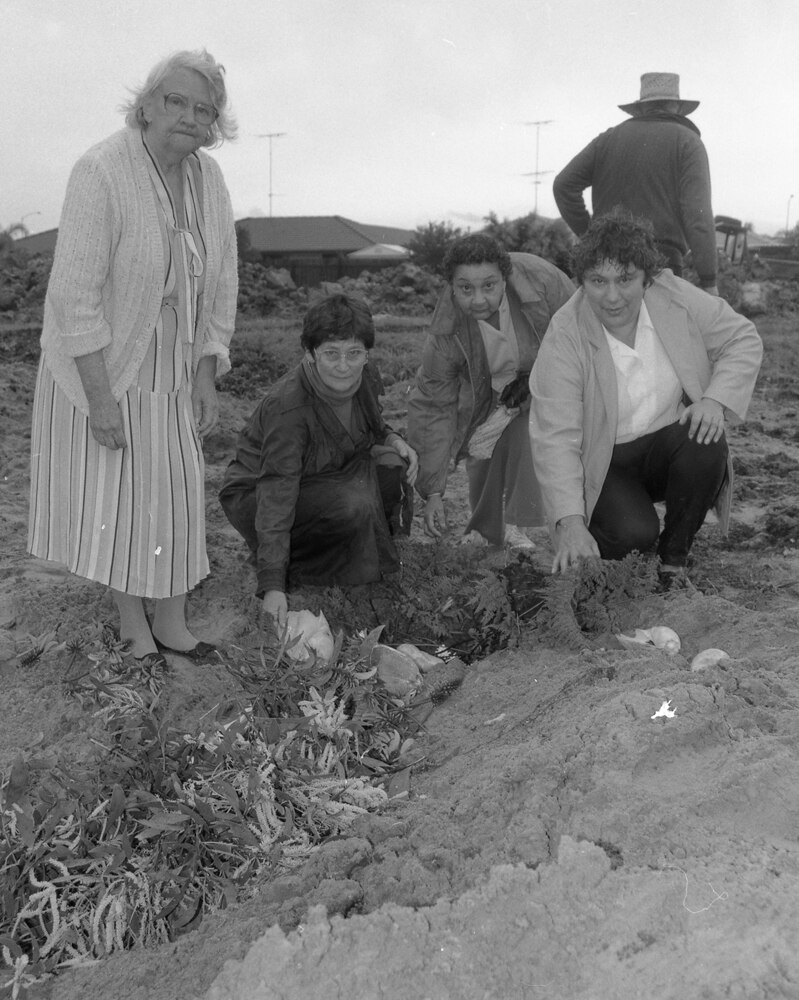 Gold Coast Indigenous burial ground marks 50 years since discovery ...