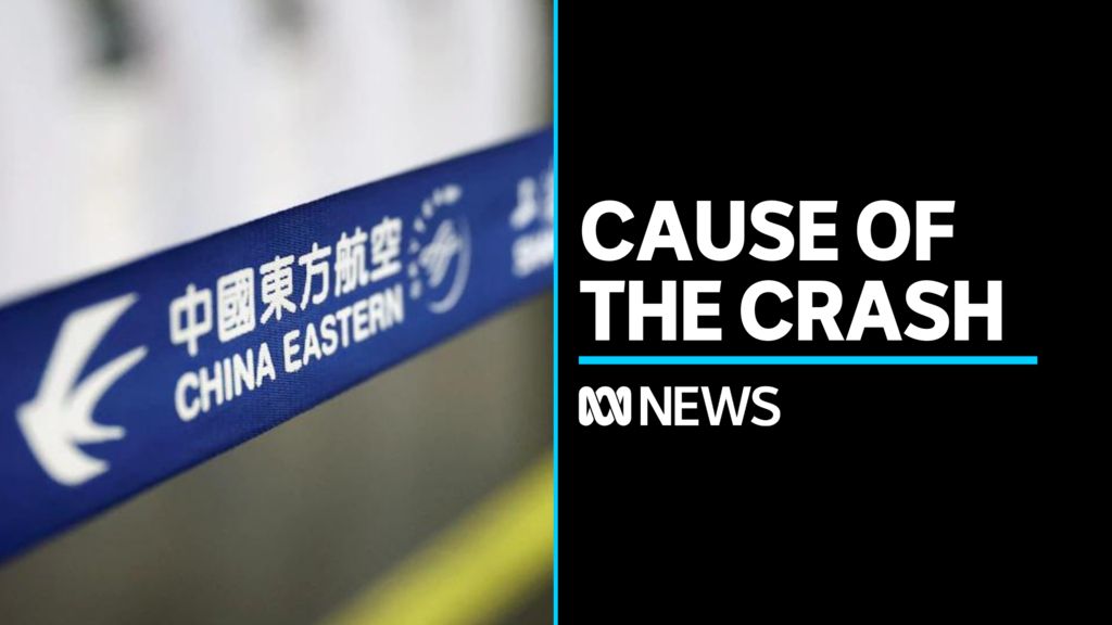 Aviation industry expert discusses the possible cause of the plane ...