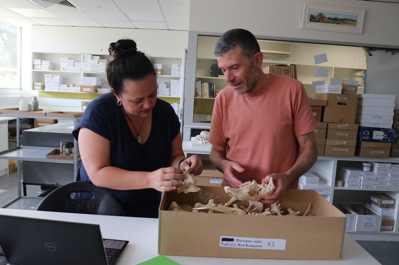 Flinders University Vertebrate Collection assessed for national ...