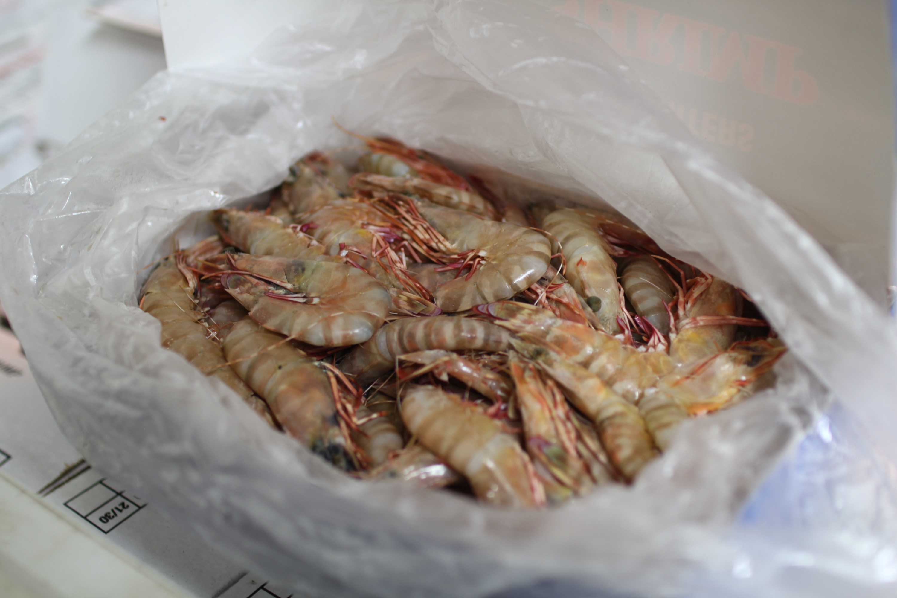 White spot virus discovery in Queensland prawns prompts imported ...