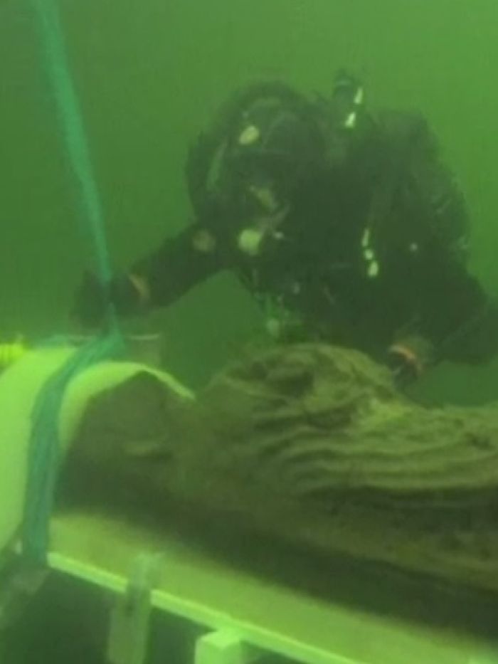 500-year-old figurehead recovered from sunken Danish warship - ABC listen