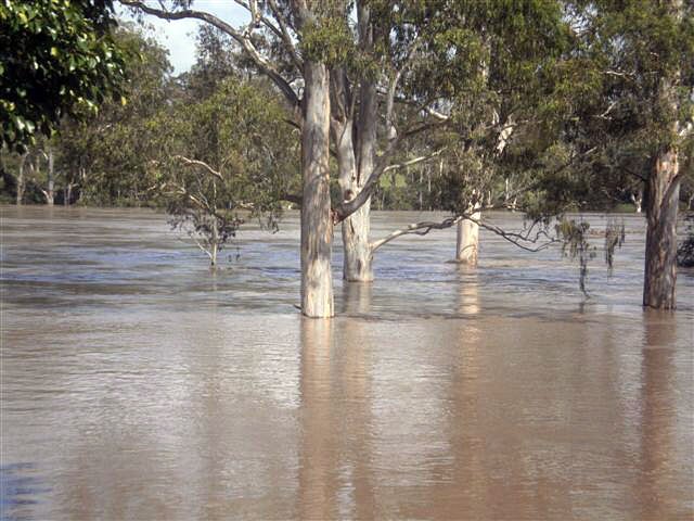 Jindalee: Queensland floods one year on - ABC News