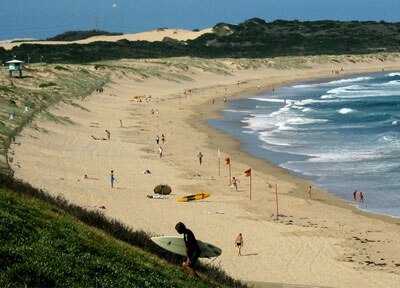 Scully 'disgusted' by Cronulla lifeguard attack sentence - ABC News
