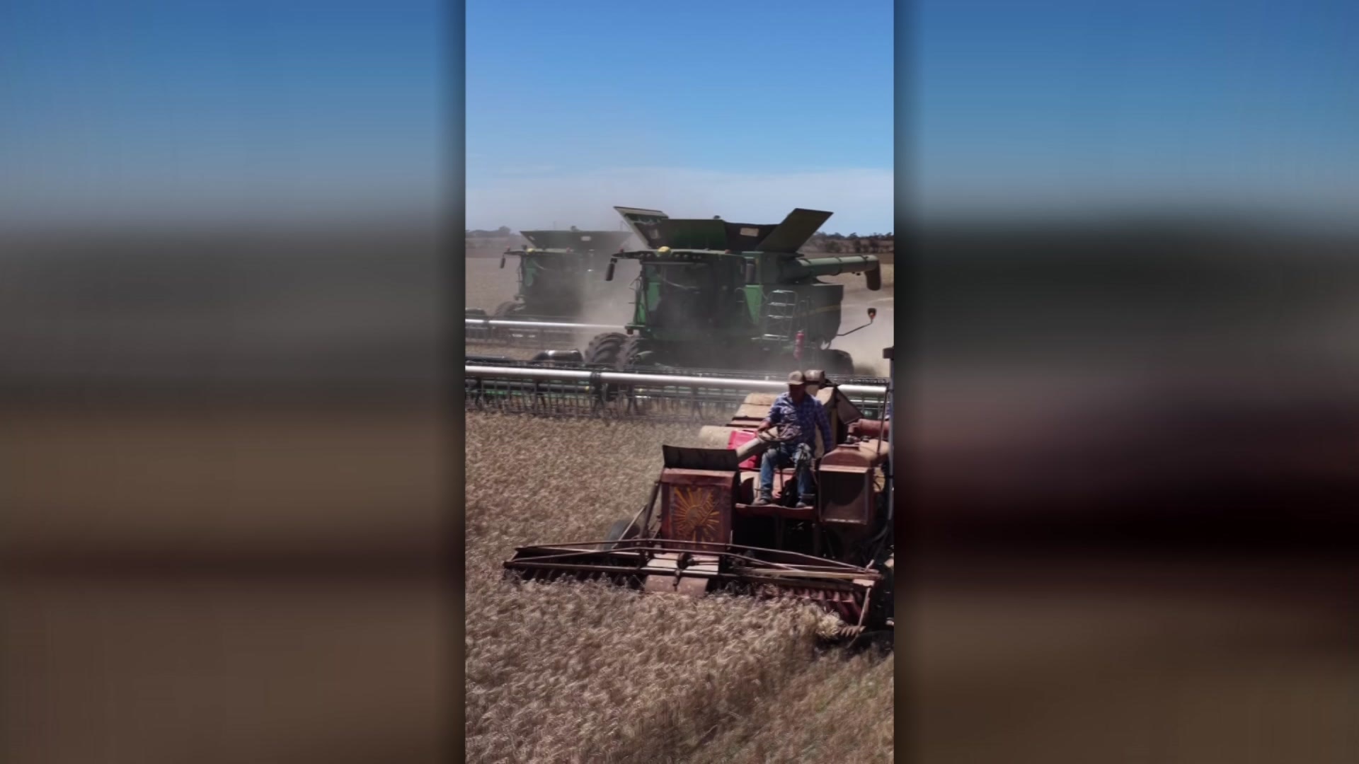 The Harvest at Wild Horse Plains - ABC News