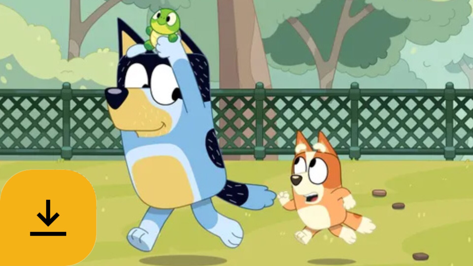 Physically Active Play - Bluey Early Education Resources - ABC Kids