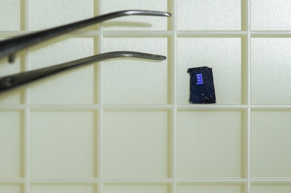 Brain tissue grown on semiconductor chip could lead to neural ...