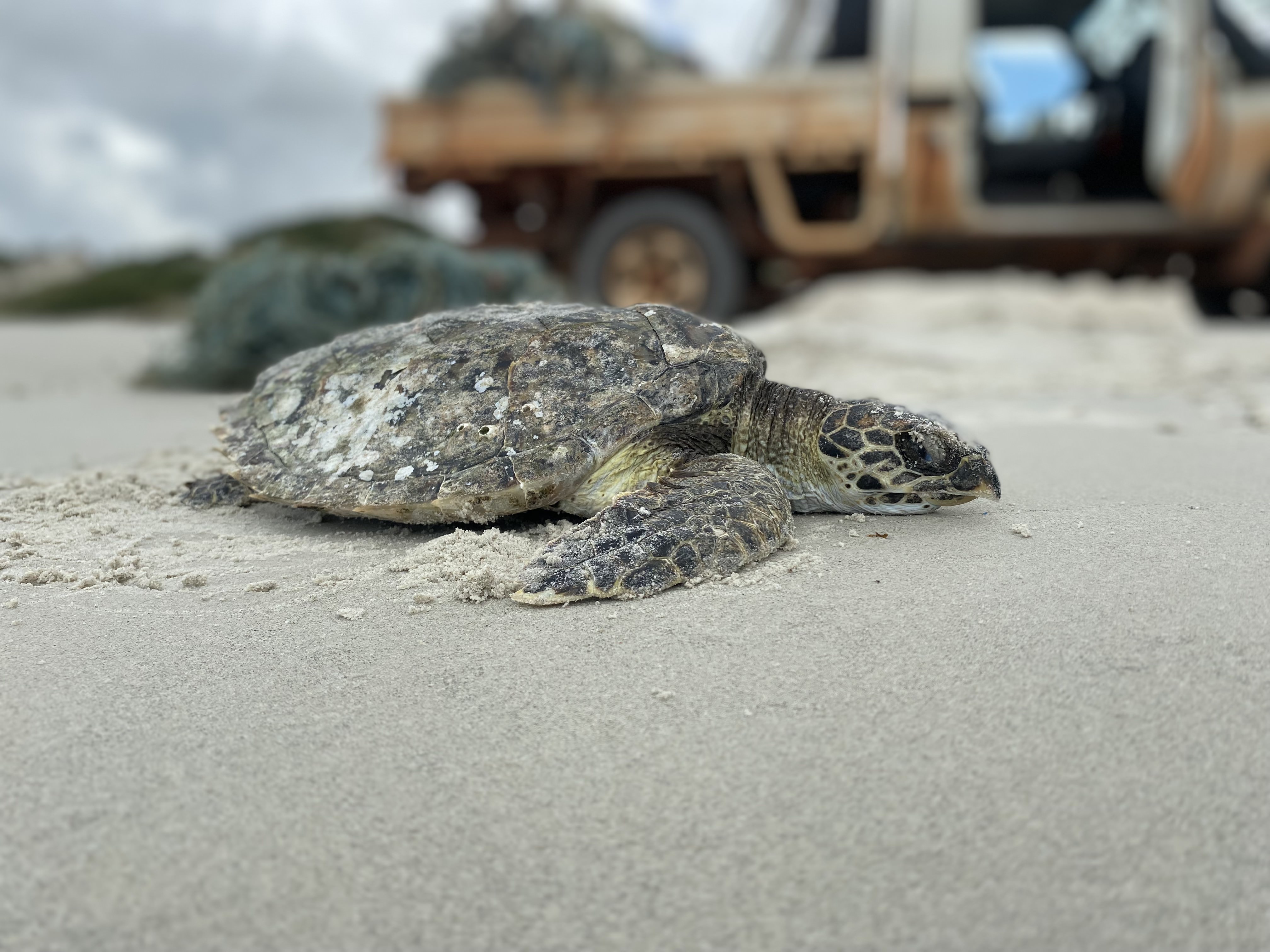 Ghost net found on Western Australia's south coast as campaigners ...