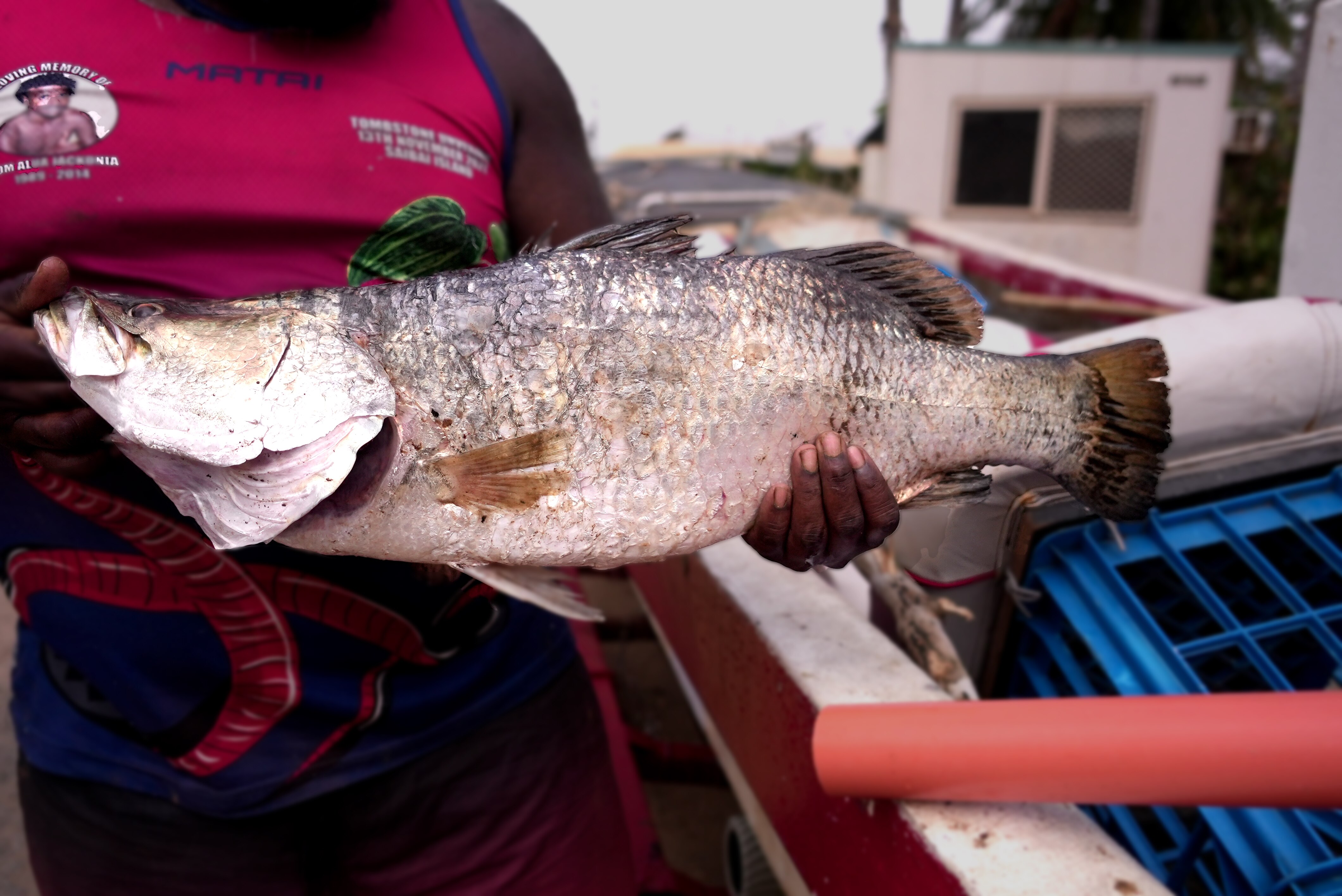 Tensions with PNG over Torres Straight fishing zones - ABC listen