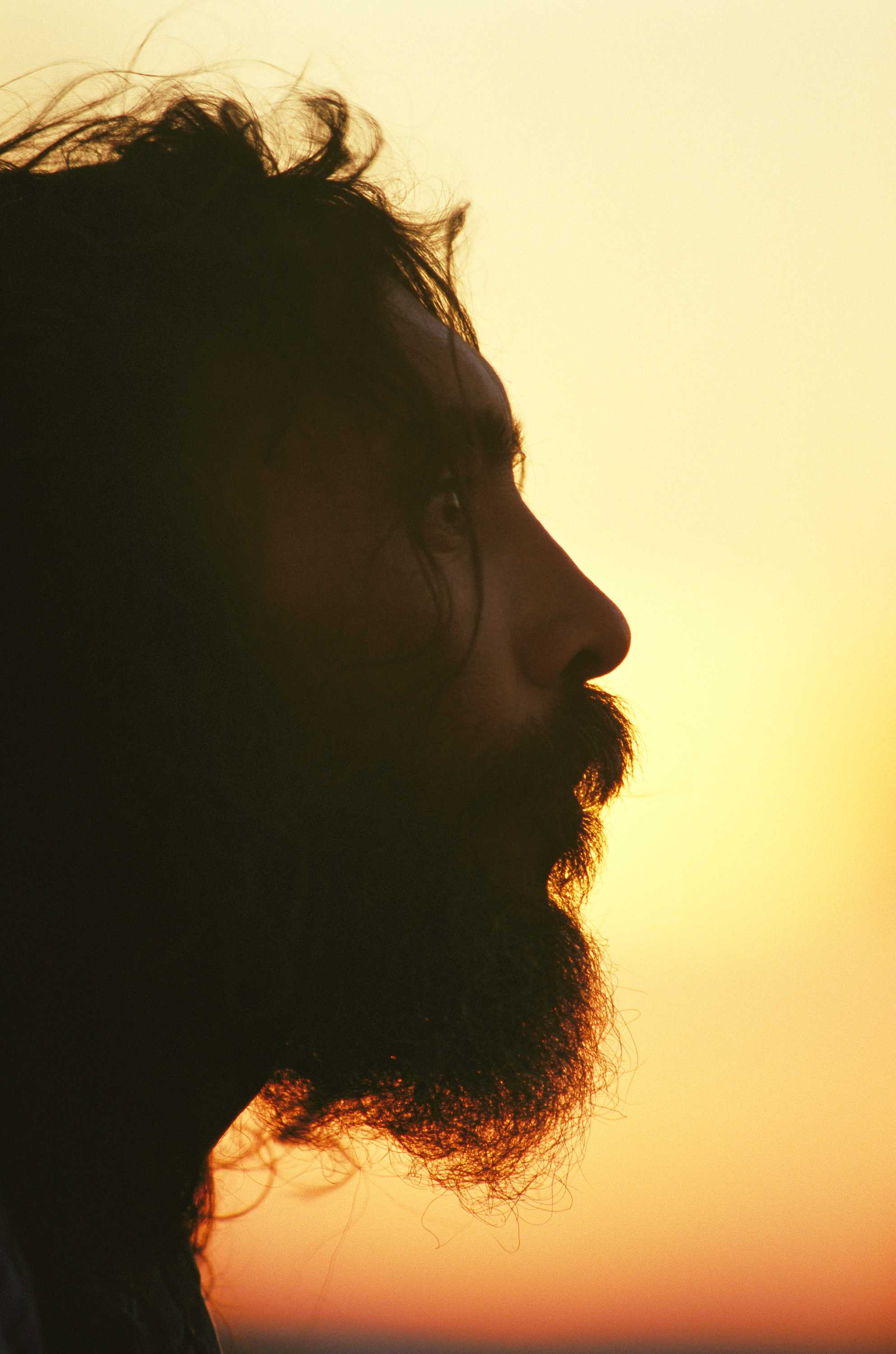 The separation of the races: Adam, pre-Adamites, and dispute over the ...