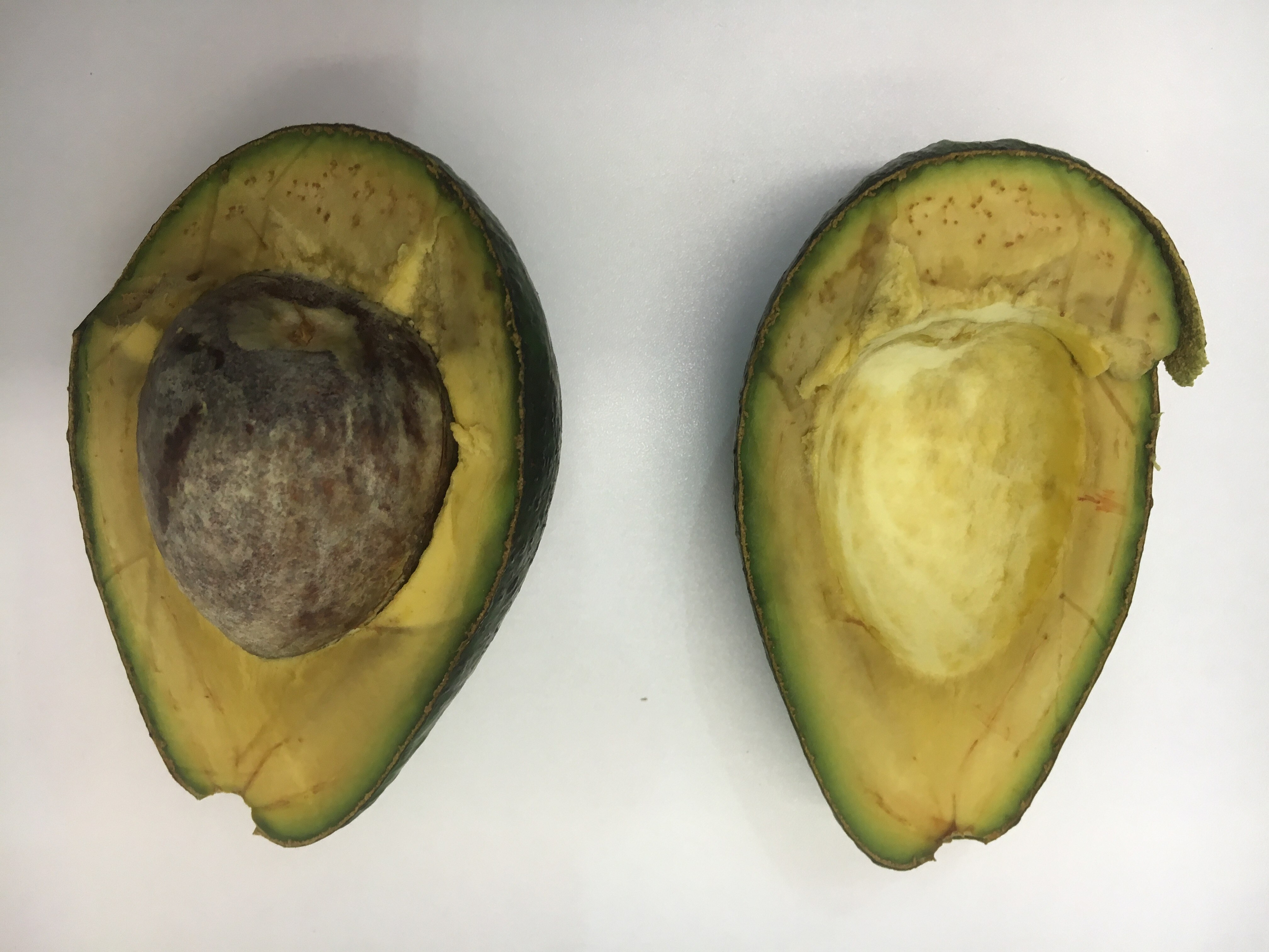 Breakthrough technology to stop processed avocados browning - ABC News