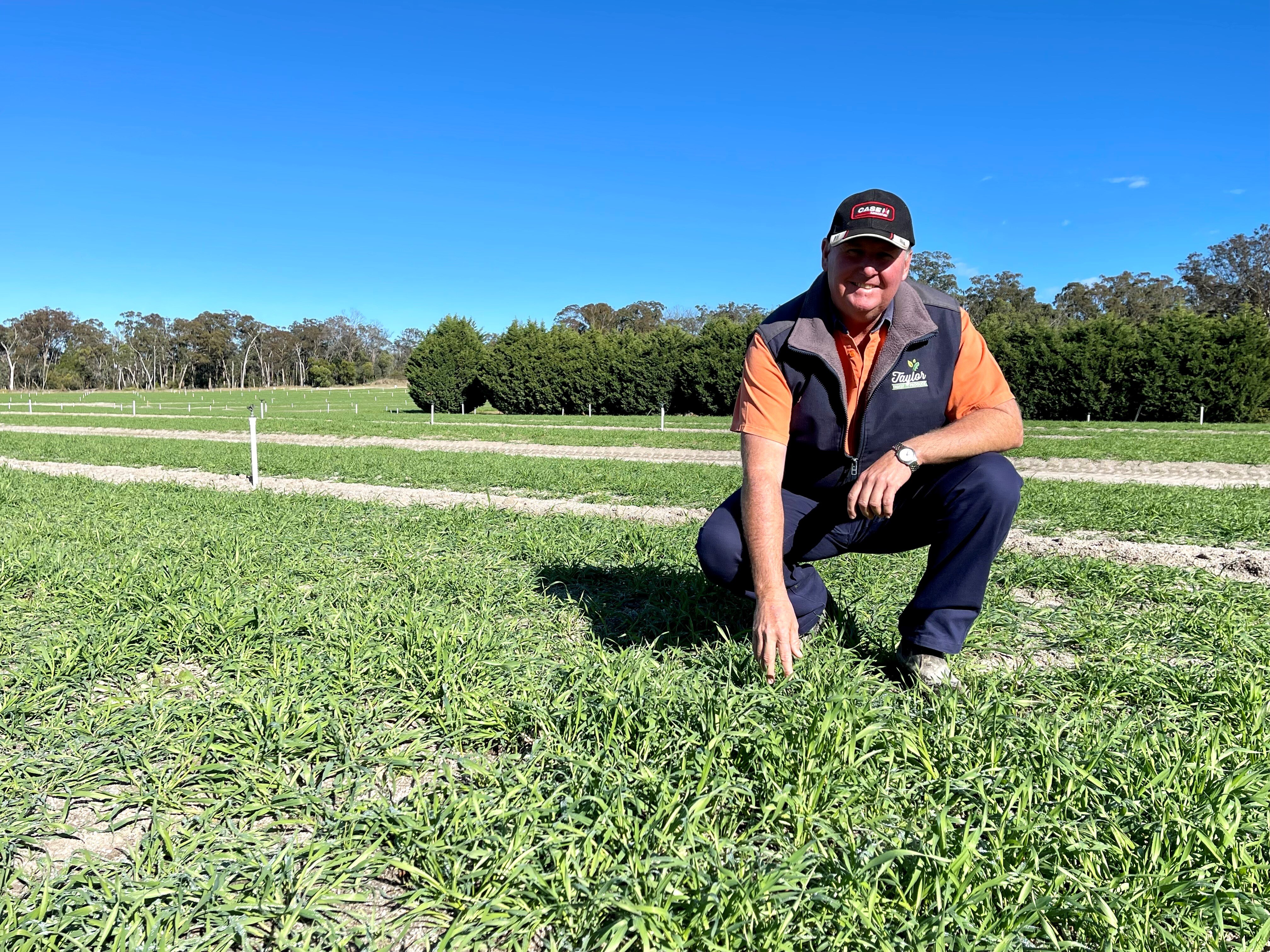 Fourth-generation farmer Ray Taylor wins Farmer of the Year award for ...