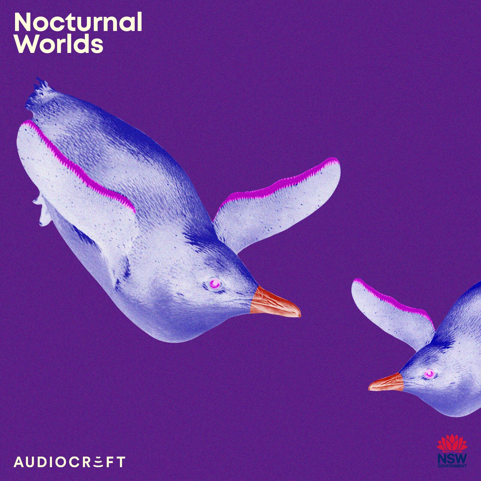 Little Penguin - ABC listen