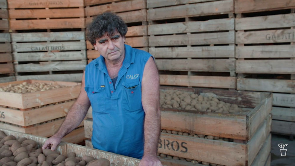 My Garden Path | Tony Galati - Gardening Australia