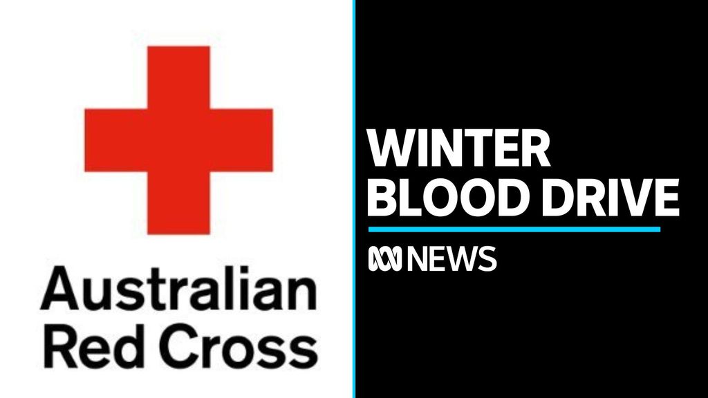 Red Cross launches winter blood drive - ABC News