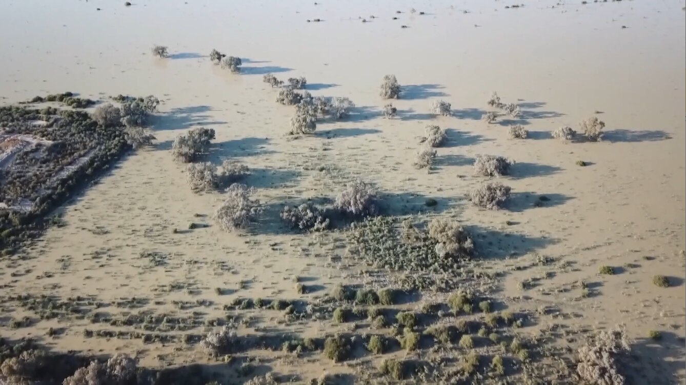Future gas exploration in Lake Eyre could upset the 'greatest desert ...