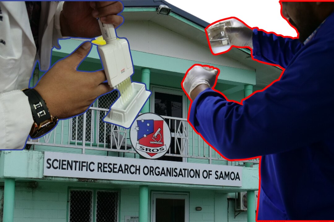 Inside Samoa's lab where scientists are unlocking the power of plants ...