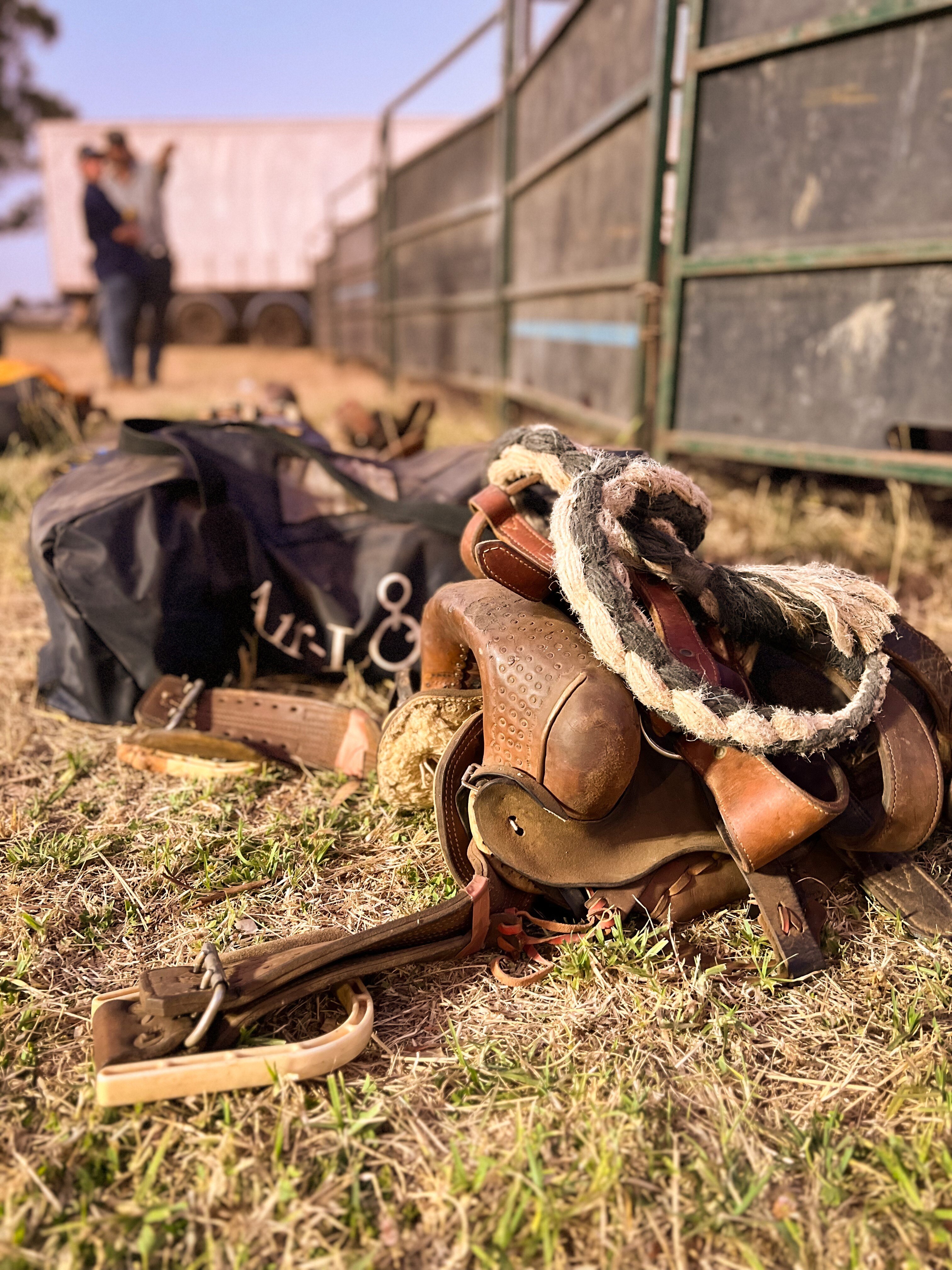 Inside Australia's amateur bull riding scene in search of rodeo glory ...