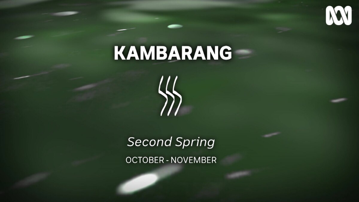 Noongar seasons: Kambarang - ABC News