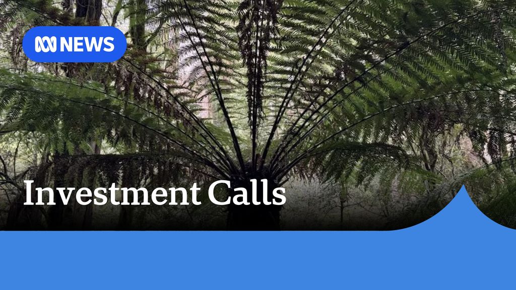 News From Victoria : ABC iview