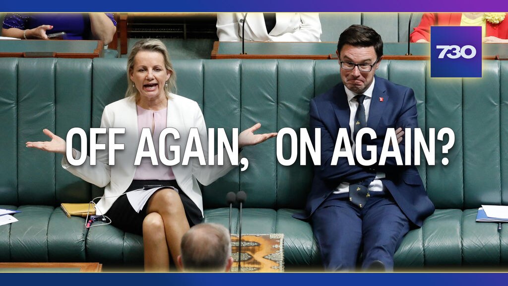 Can the Coalition's rupture be mended? - ABC News