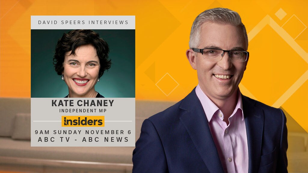 Independent MP Kate Chaney - ABC News